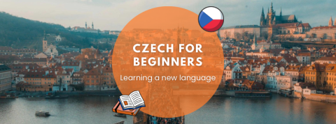 Czech for Beginners: Essential Words and Phrases - International